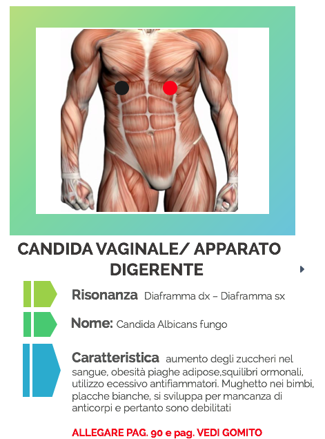 Batteri e Virus, Parassiti e Funghi: quali sono le differenze ... Batteri e Virus, Parassiti e Funghi: quali sono le differenze ...