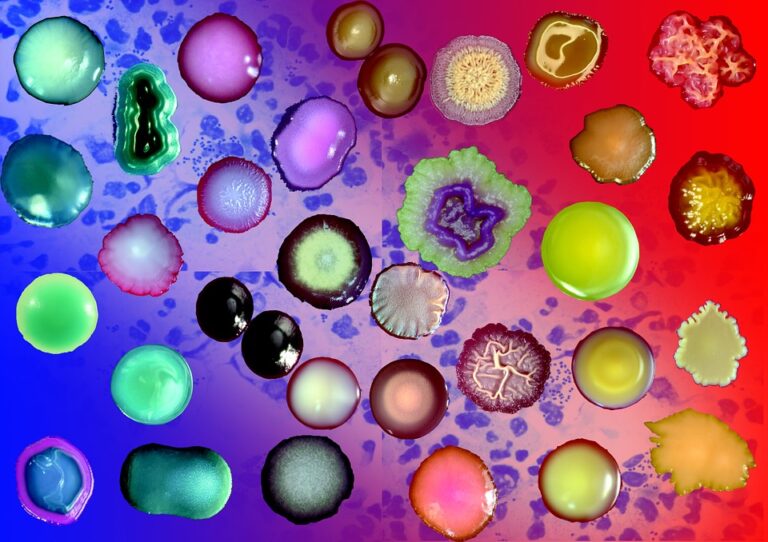 Batteri e Virus, Parassiti e Funghi: quali sono le differenze ... Batteri e Virus, Parassiti e Funghi: quali sono le differenze ...